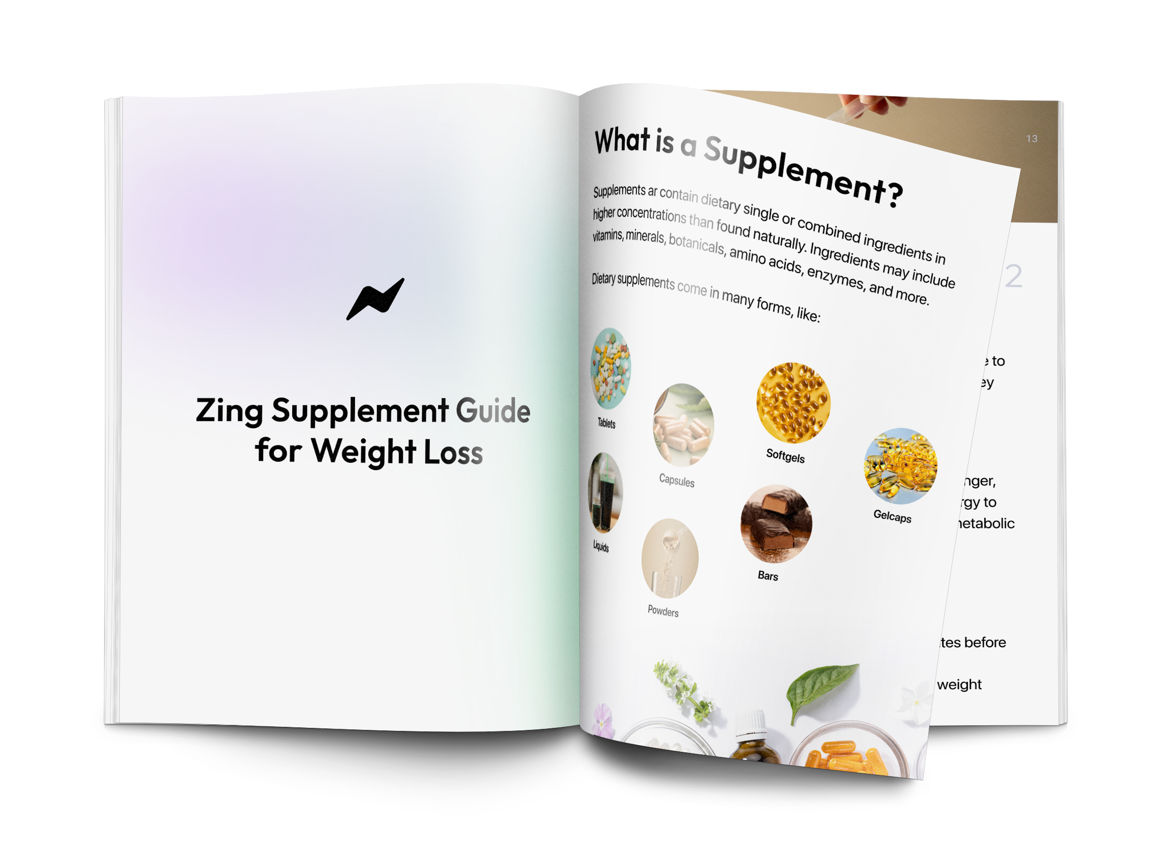 Supplements Guide – Zing Coach Help Center